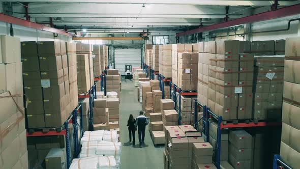 Large Modern Warehouse at a Paper Manufacturing Facility, Stock Footage