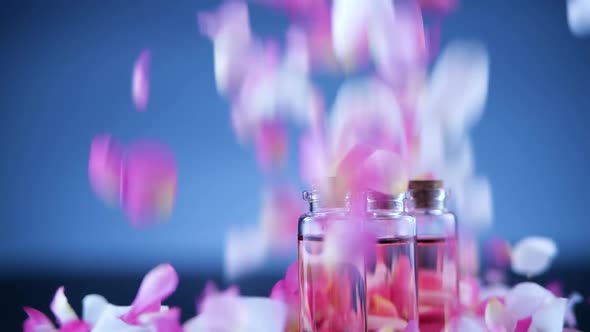 Fresh Petals Falling on Perfume, Stock Footage | VideoHive