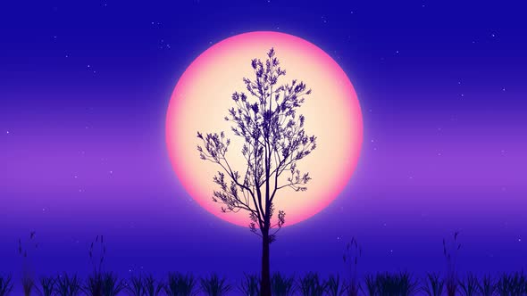 Moonlight, Motion Graphics | VideoHive