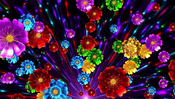 Colorful Flowers , Motion Graphics | VideoHive