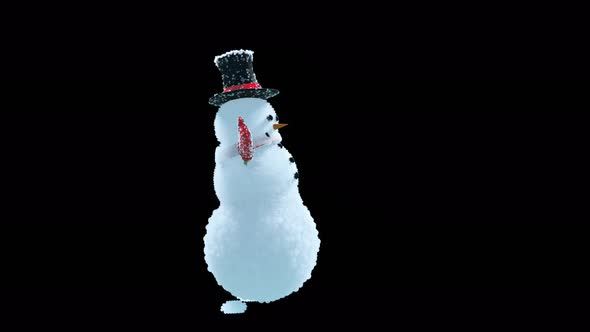 Snowman, Motion Graphics | VideoHive