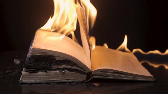 The Book is on Fire, Stock Footage | VideoHive