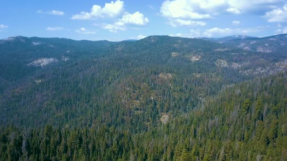 Aerial View of the Sequoia National Park Forest from Above in ...