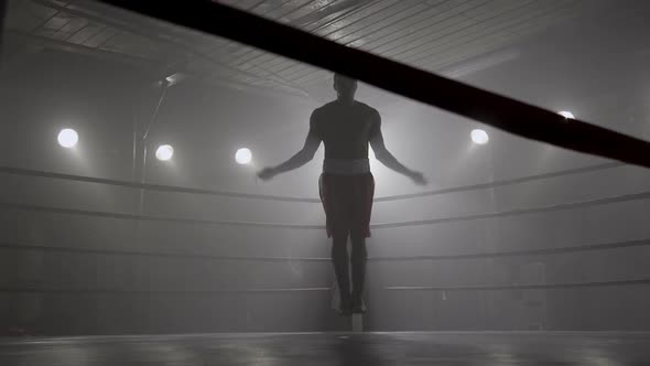 Boxer jumping rope in boxing ring, Stock Footage | VideoHive