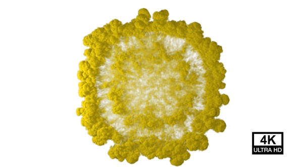 Yellow Powder Shockwave Explosion 4K, Motion Graphics | VideoHive