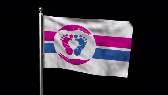 Pro-Life Flag With Alpha Channel, Motion Graphics | VideoHive