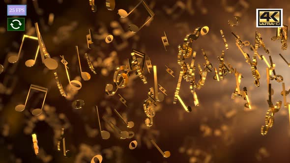 Music Notes D1 4K, Motion Graphics | VideoHive
