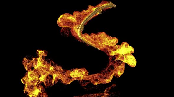 Fire Dragon Particles, Motion Graphics | VideoHive