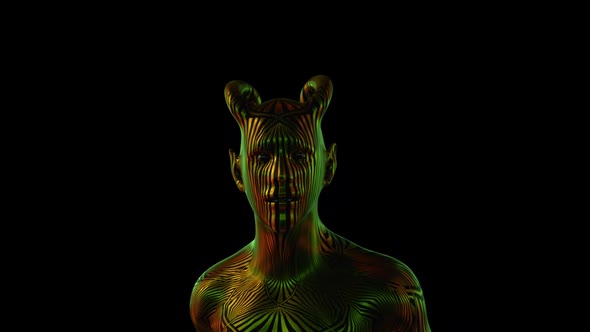 Faun Face, Motion Graphics | VideoHive