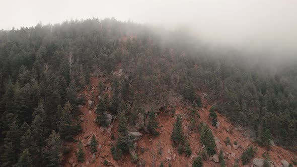 Aerial reverse dolly over evergreen forest covered in mist on Cheyenne ...