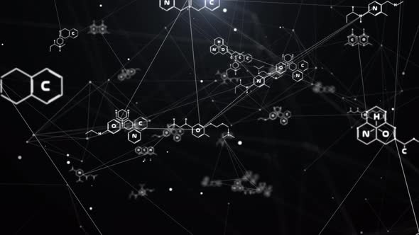 Molecular formula network platform, Motion Graphics | VideoHive