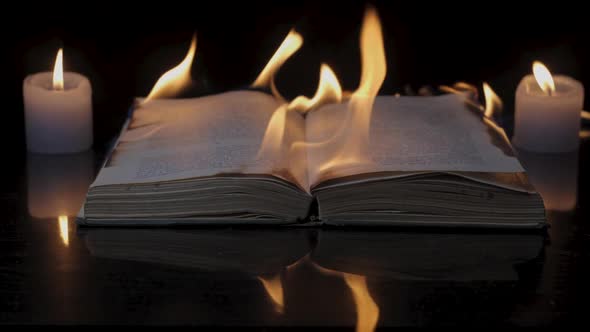 The Book is on Fire, Stock Footage | VideoHive