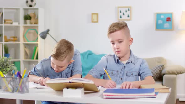 Caucasian Twin Brothers Doing Homework Together, Stock Footage | VideoHive