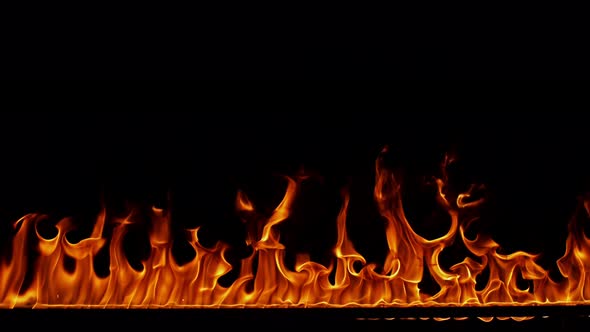 Real Fire Line In Super Slow Motion Isolated On Black Background, Stock ...