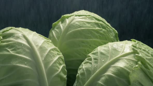 Lettuce Vegetables Are Washed In Fine Spray, Stock Footage | VideoHive