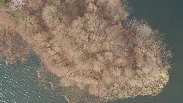 AERIAL: Reeds Waving in the Wind near the Island in Lake on a Very ...