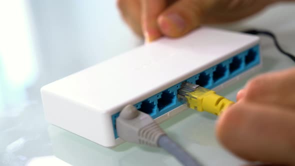 Connecting an Ethernet cable to a Hub, Stock Footage | VideoHive