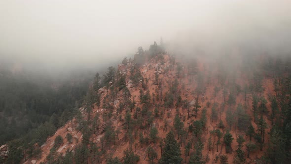 Mist rolls in over rocky peak with scattered evergreen trees above ...