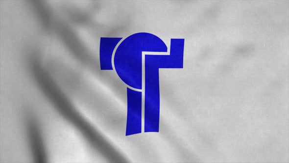 Flag of Tempe City of Arizona United States of America, Motion Graphics