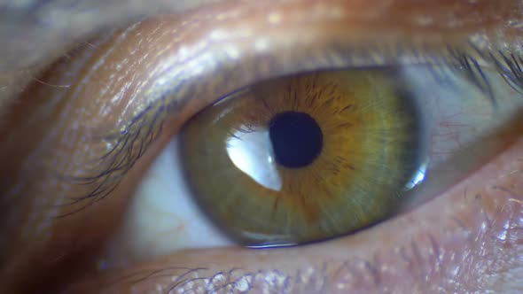 Macro Close-up Male Human Eye Blinking. Slow Motion, Stock Footage