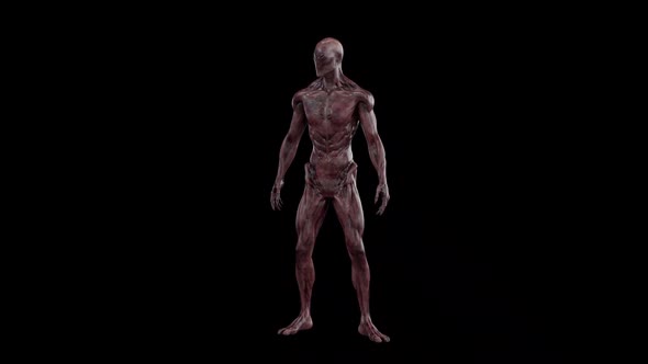 Muscle Alien Looking Loop, Motion Graphics | VideoHive