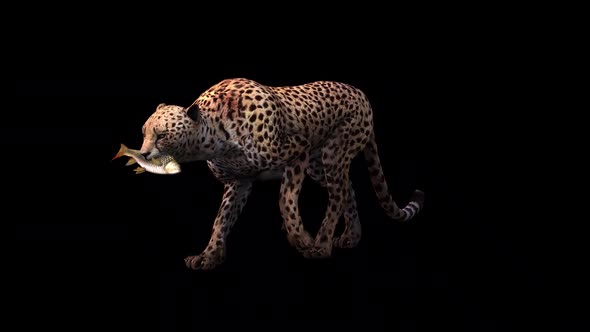 Fish with Cheetah Side View Loop Walk, Motion Graphics | VideoHive