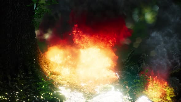 Wind Blowing on a Flaming Trees During a Forest Fire, Motion Graphics