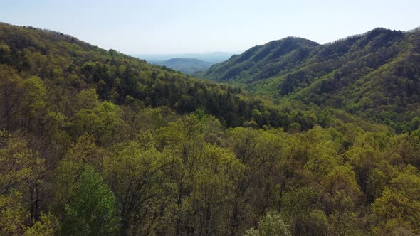 Blue Ridge Mountains in Spring near Asheville, Stock Footage | VideoHive