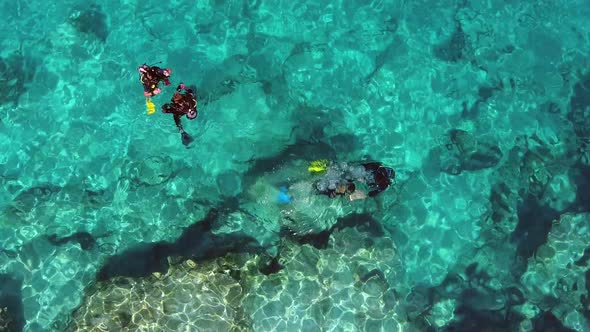 Aerial View of Divers Swimming Underwater Sea, Stock Footage | VideoHive