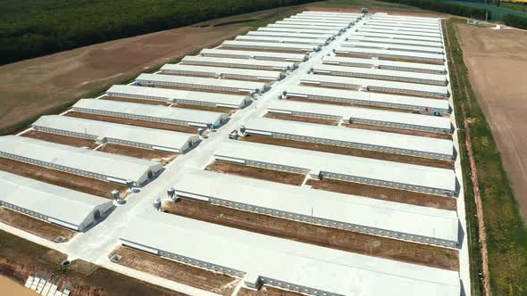 Poultry farm buildings. Aerial view of modern poultry facility in rural ...