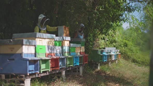 beekeepers collecting honey by extracting bees with the blower and ...