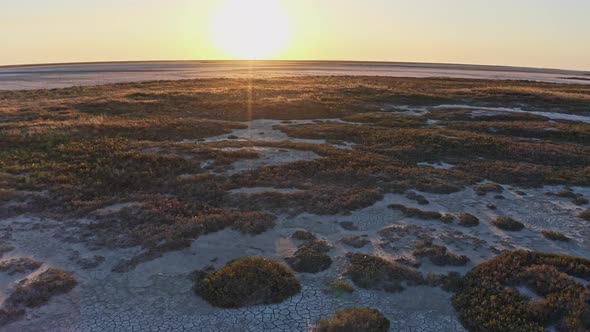 Sandy Swamp with Large Patches of Grass and Bushes, Stock Footage ...