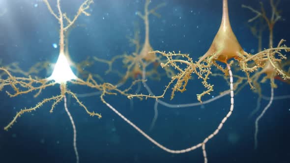 Neurons With Amyloid Plaques, Animation, Motion Graphics | VideoHive