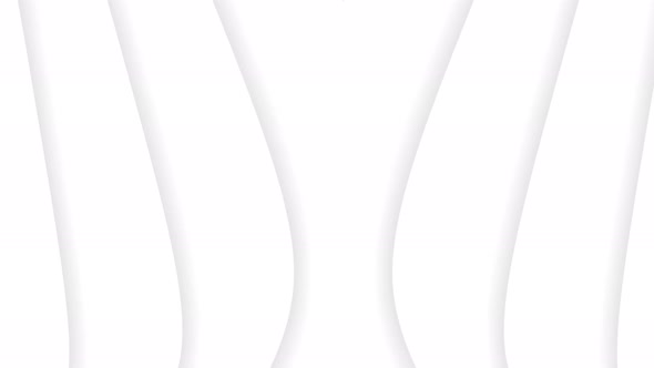 White Background, Motion Graphics | VideoHive