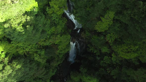 Floating over Philosopher Falls rainforest in Tasmania Australia, Stock ...