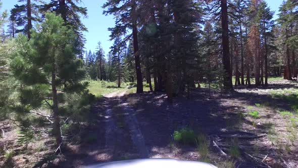 POV view of a 4x4 vehicle driving off-road on a dirt road., Stock Footage
