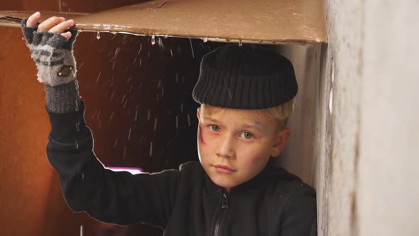 Poor Orphan Boy Shelters From the Rain Under Cardboard Crying, Stock ...