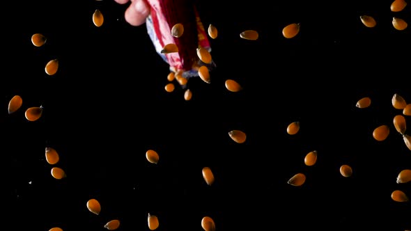 Slow motion shot of pouring yellow corn grains out of a red plastic bag ...