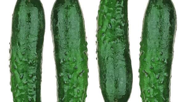 Fresh Juicy Cucumber Fruits with Small Bumps and Water Drops, Stock Footage