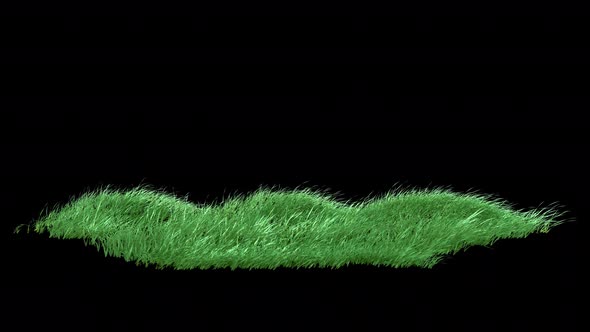 Grass Slow Wind Loop 4K, Motion Graphics | VideoHive