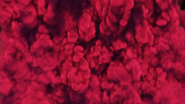 Pink Smoke Fall Loop Background, Motion Graphics | VideoHive