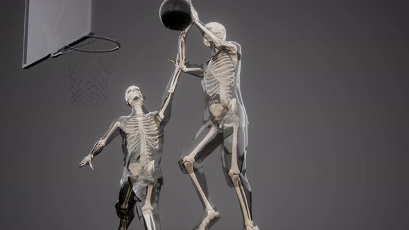 Basketball Game Players with Visible Bones, Motion Graphics | VideoHive