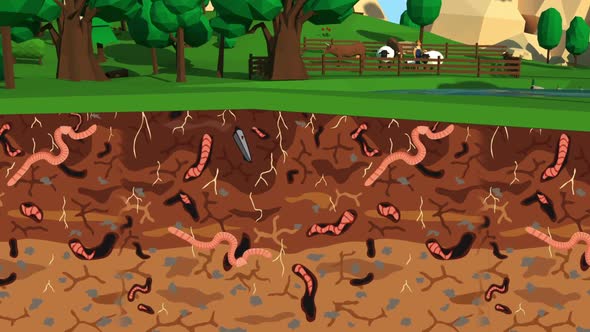 Cross Section Soil 3D Low Poly Animation, Motion Graphics | VideoHive