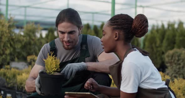 Diverse Farmers Discussing Quality of Plant, Stock Footage | VideoHive
