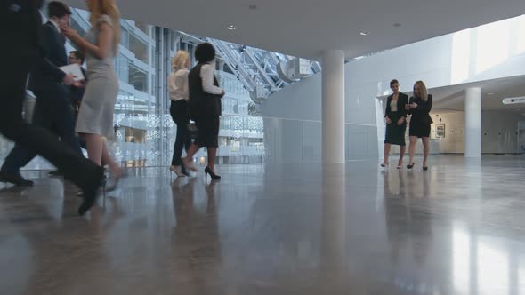 Crowd of Businesspeople Walking through Lobby, Stock Footage | VideoHive