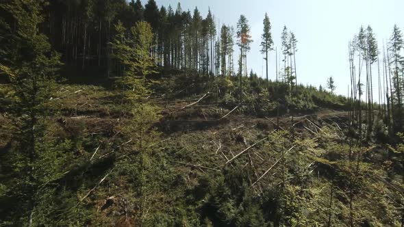 FPV Drone Birds Eye View Drone Footage: Flying above Cut and Broken ...