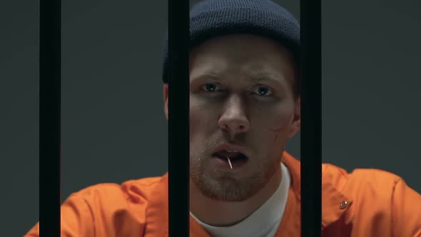 Confident Bandit Chewing Toothpick Behind Prison Bars, Dangerous Head ...