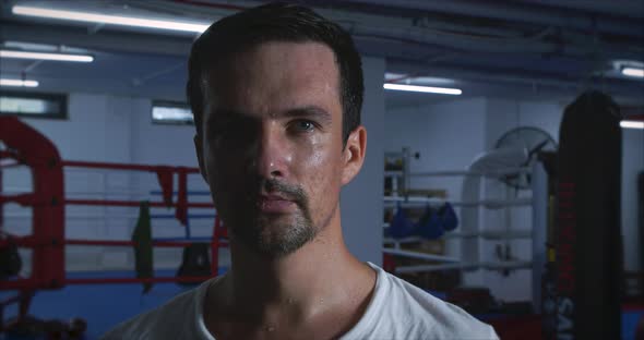 Portrait Sportsman Boxer of a Focused Caucasianeuropean Male Boxer ...