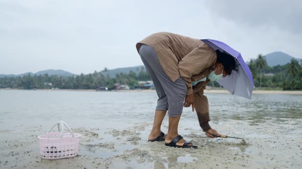 Woman With Umbrella On Her Head Scraping Sand Trying To Find Clams ...