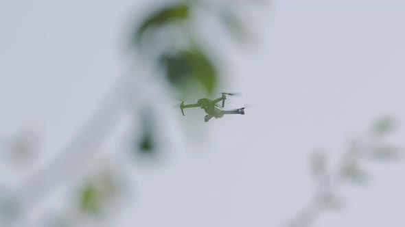 Drone And Tree Branches, Stock Footage | VideoHive